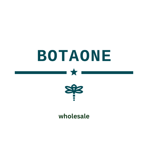 BOTAONE
