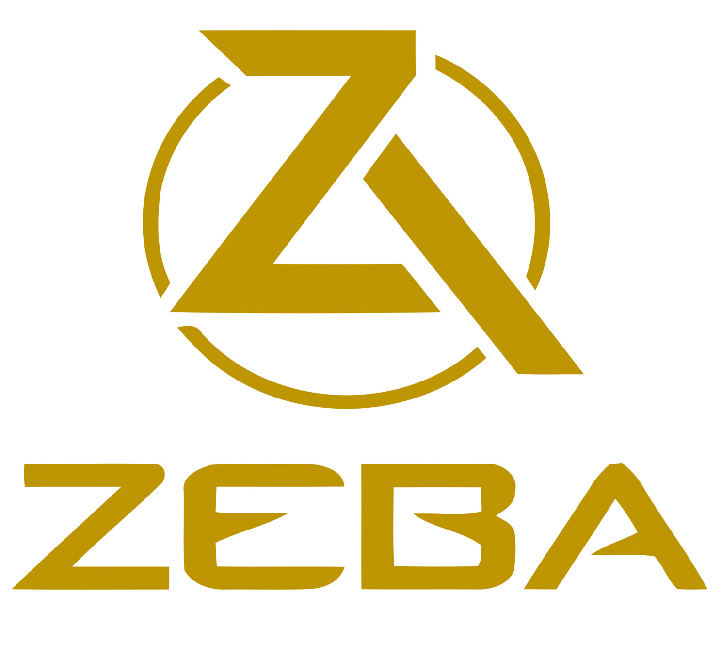 Zeba Shoes